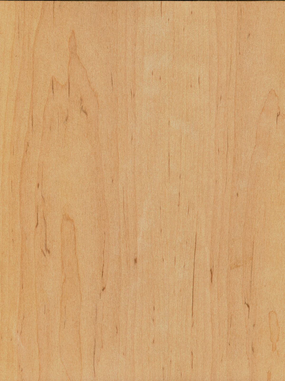 Alder – SR Wood