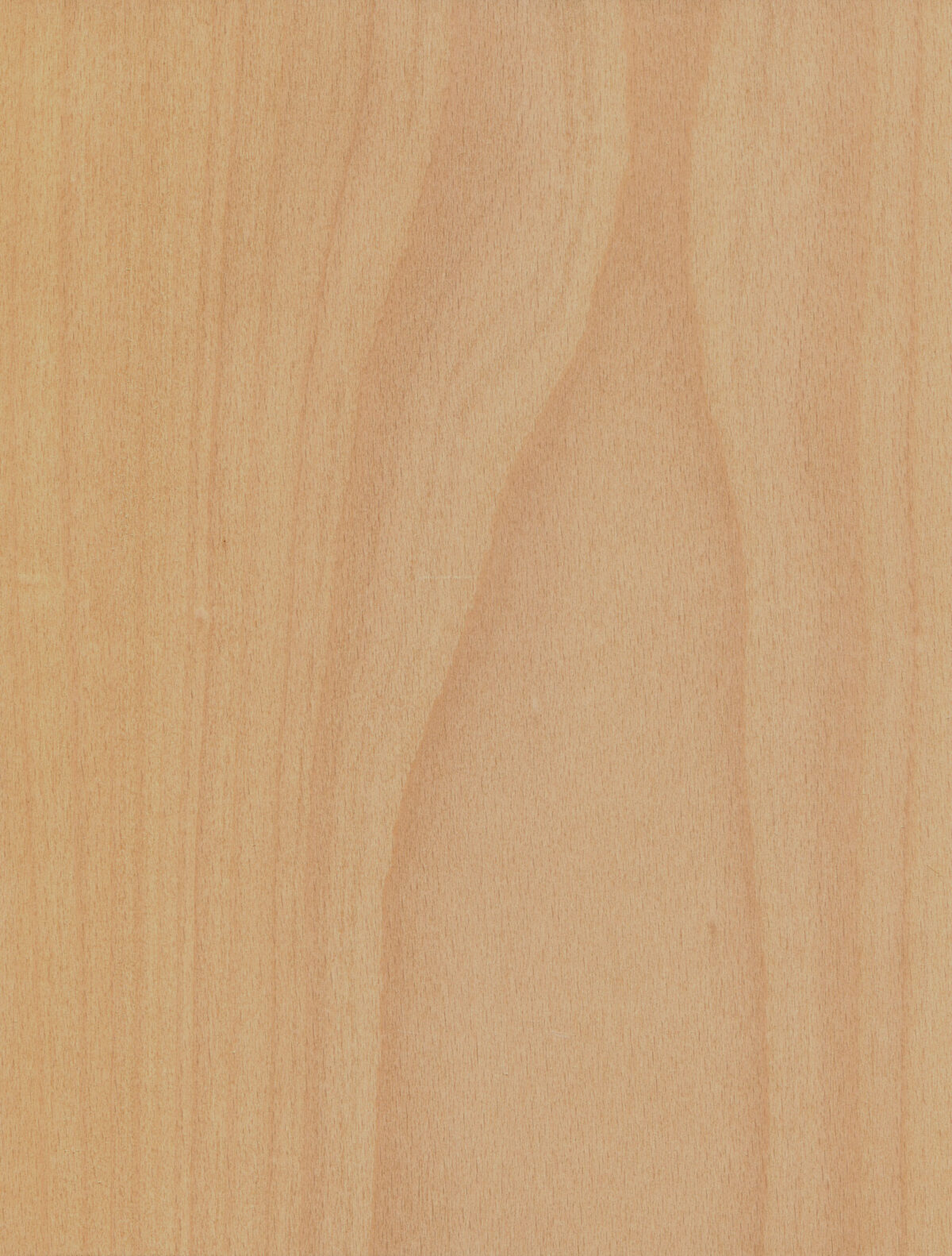 Beech, European Steamed – SR Wood