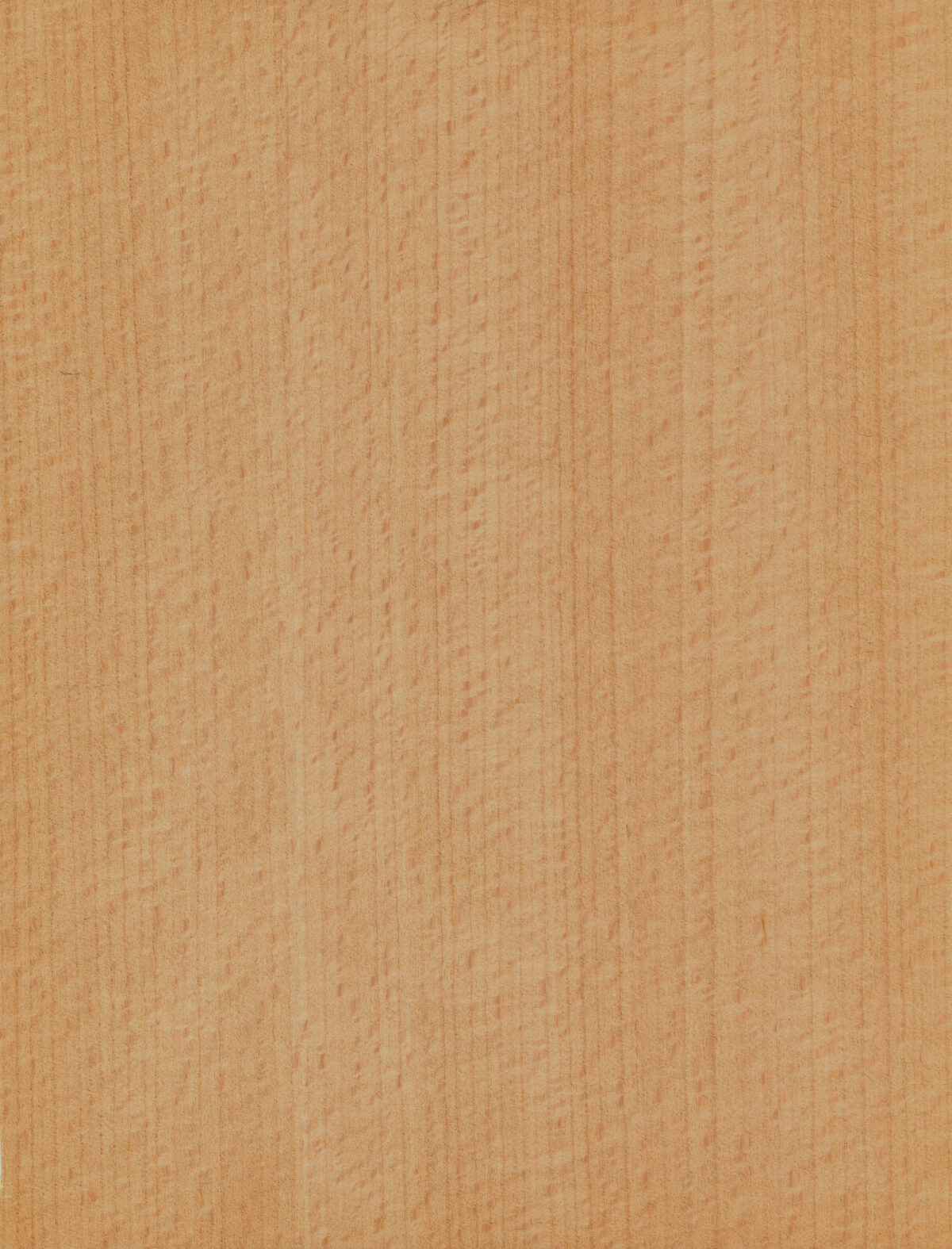 Beech, European Steamed – SR Wood