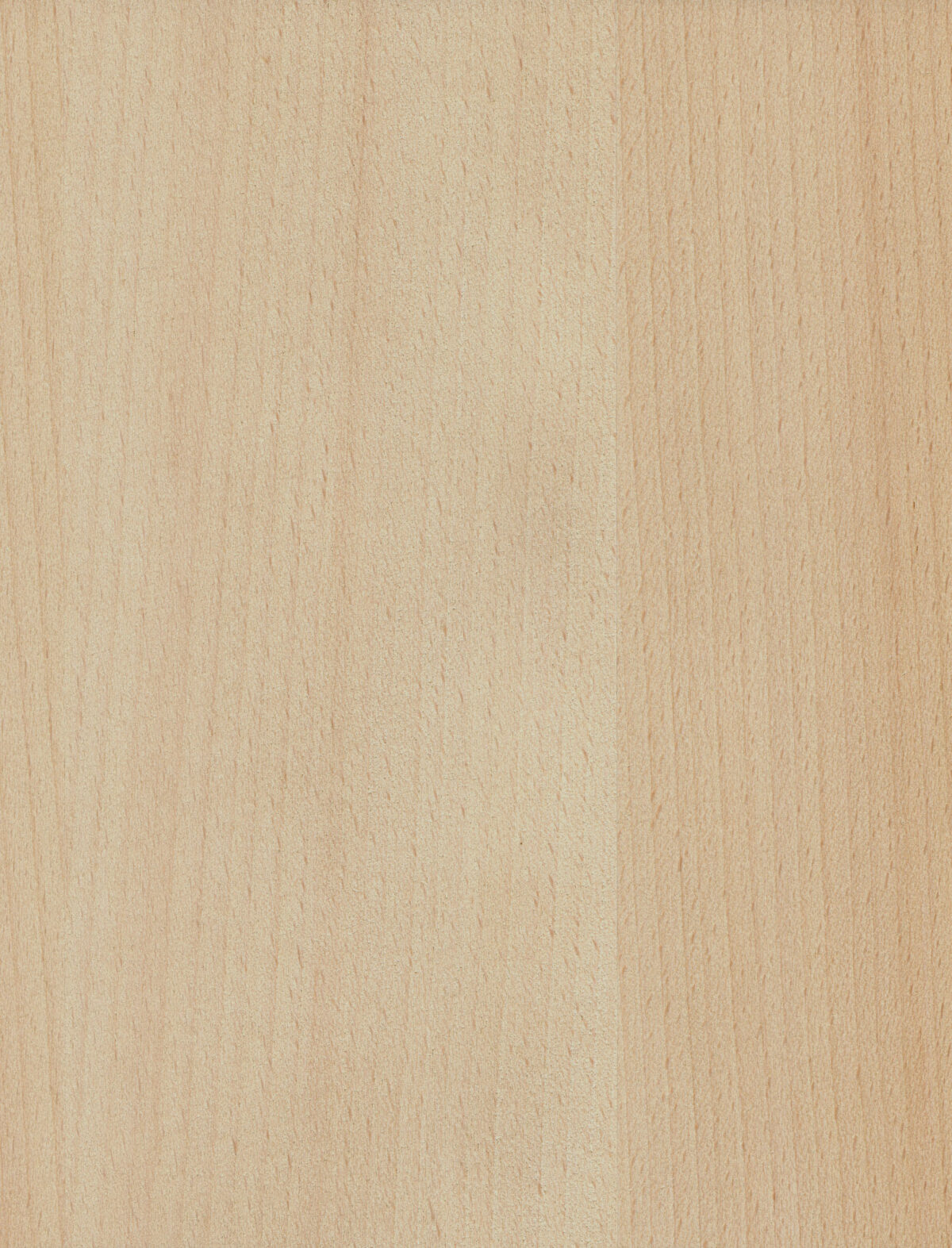 Beech, European Unsteamed – SR Wood