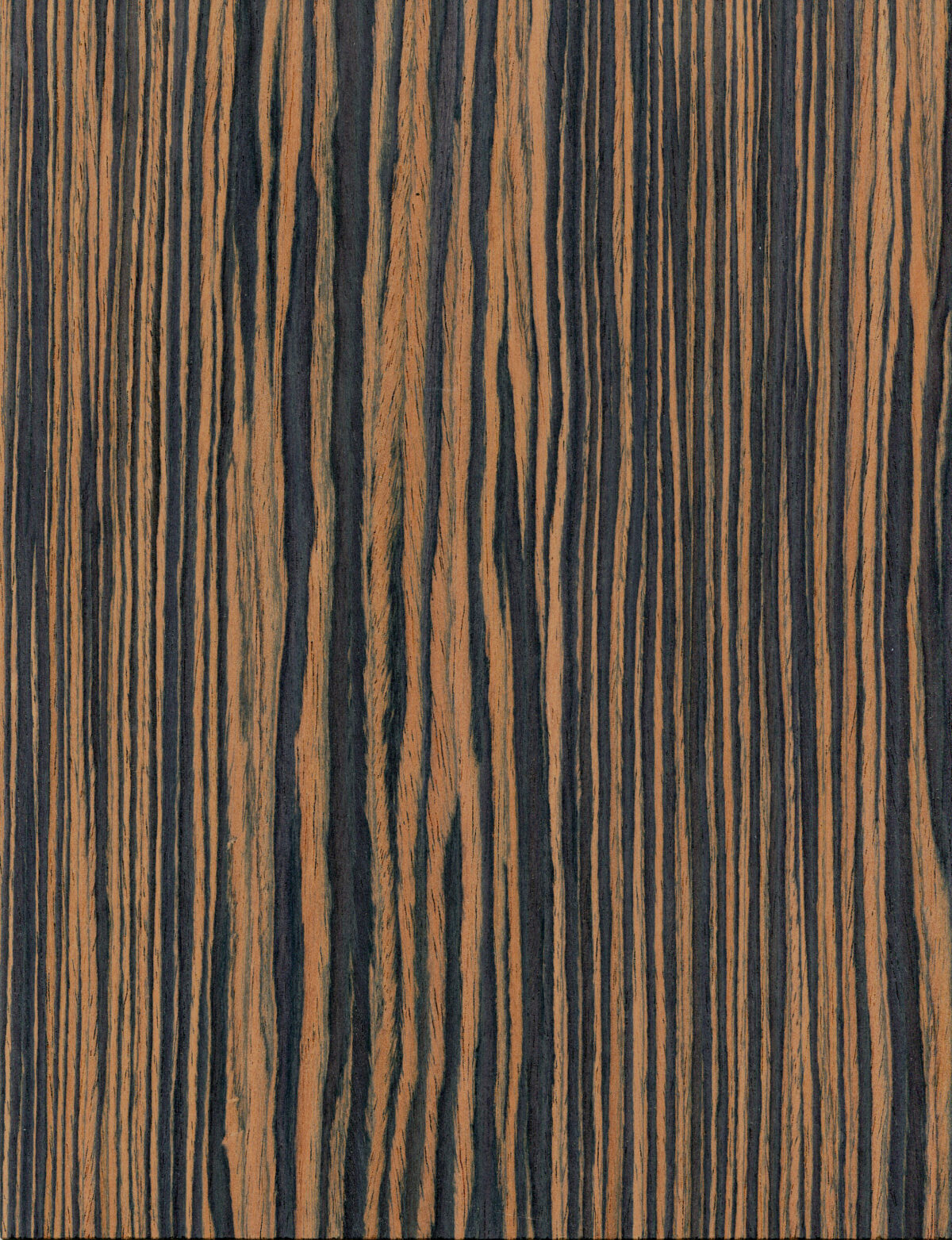 Ebony, Macassar – Reconstituted – SR Wood