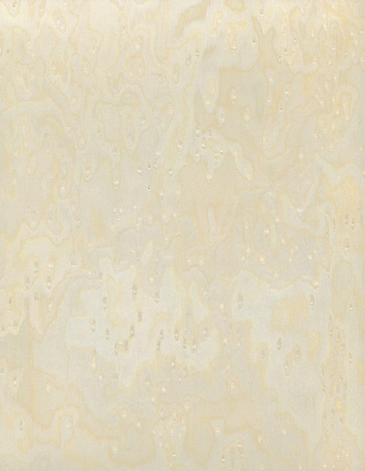 Maple – Birdseye Reconstituted – SR Wood