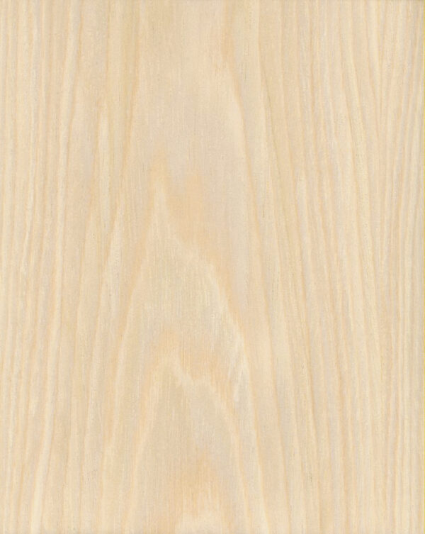 Maple, Reconstituted – SR Wood