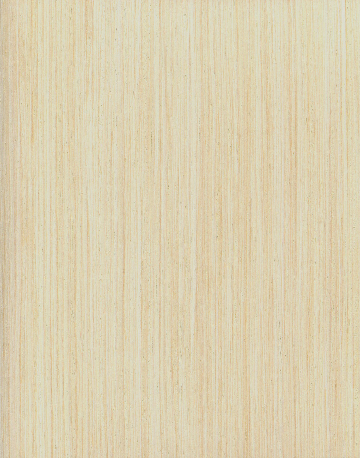 Maple, Reconstituted – SR Wood