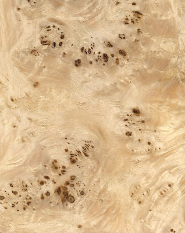 Mappa, Burl – SR Wood